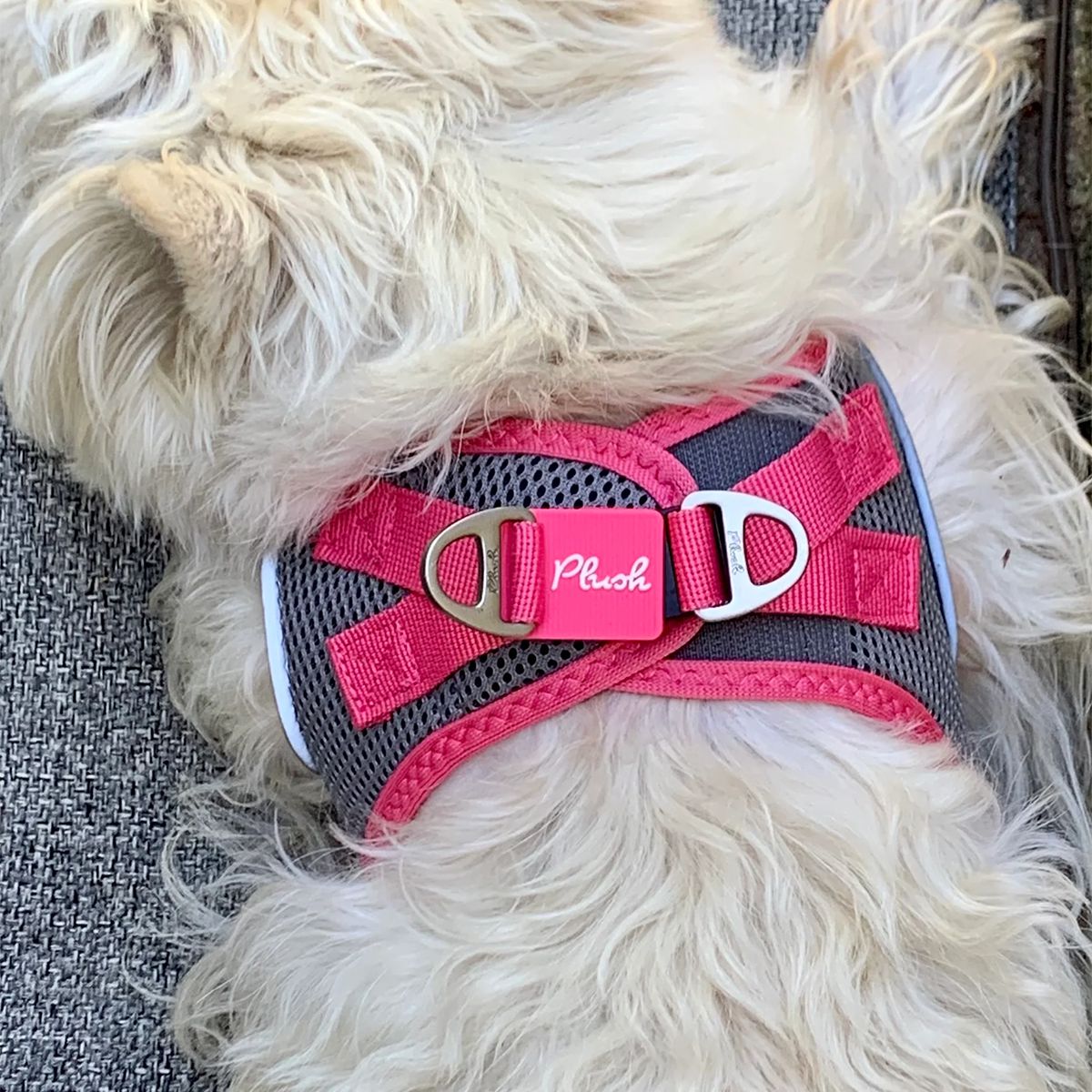 Plush Step In Air Mesh Dog Harness Shark Grey/Pink – Bitch New York