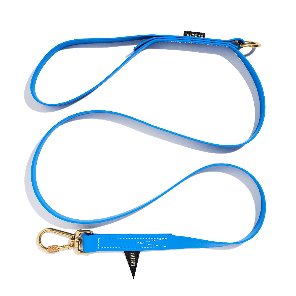 Standard Water Resistant Dog Leash Light Blue – Bitch New York