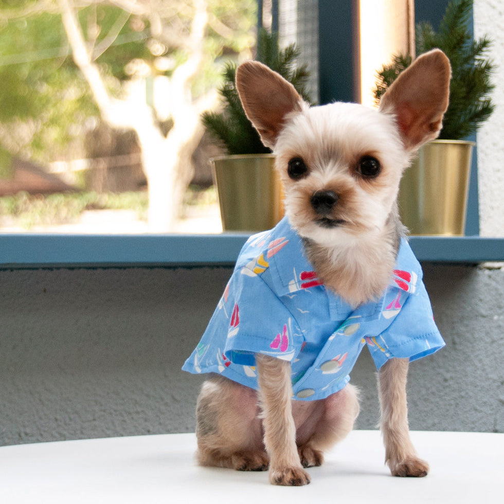 Summer Beach Dog Shirt – Bitch New York