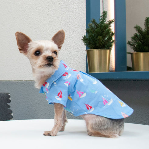 Summer Beach Dog Shirt – Bitch New York