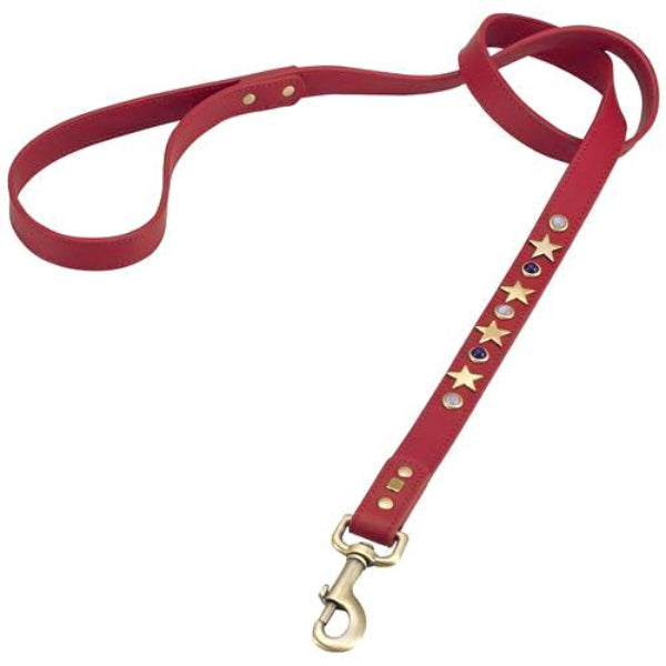 American Red Leather Dog Leash – Bitch New York