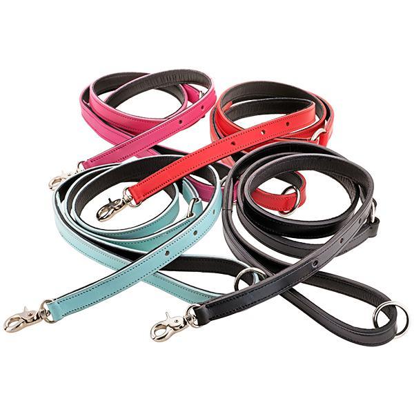 Dog Leashes: Buy Designer Personalized Leashes for your Dog – Bitch New ...