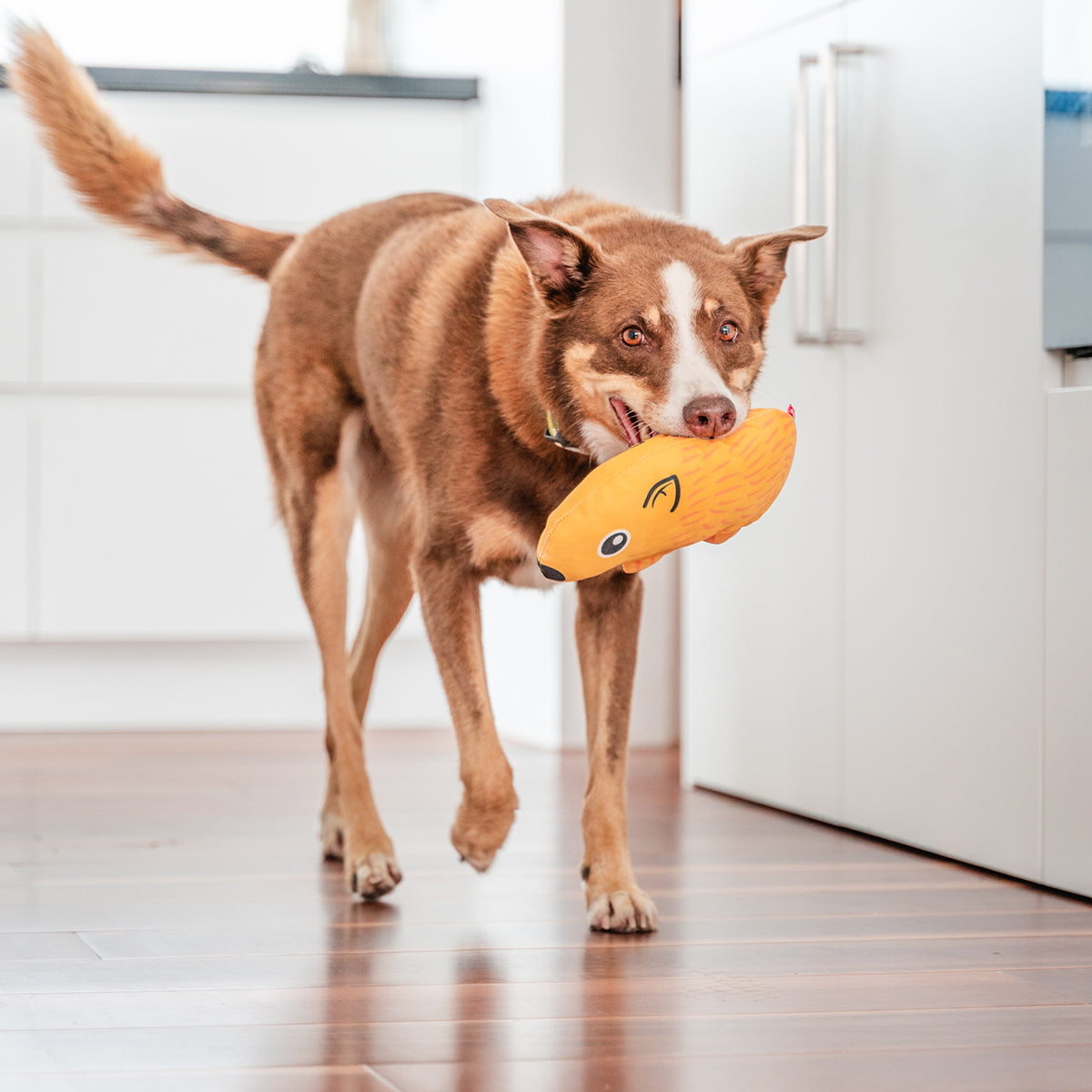 Durables Wendy The Wombat Dog Toy – Bitch New York